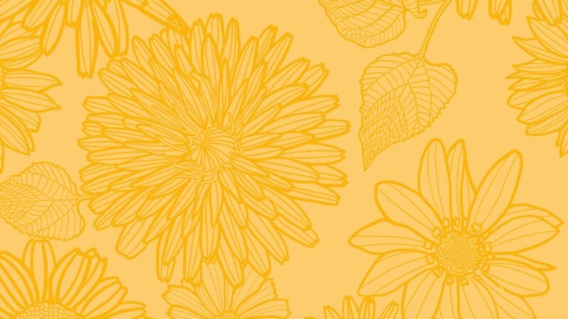 Strive and Thrive Therapy - Perth Kids Hub